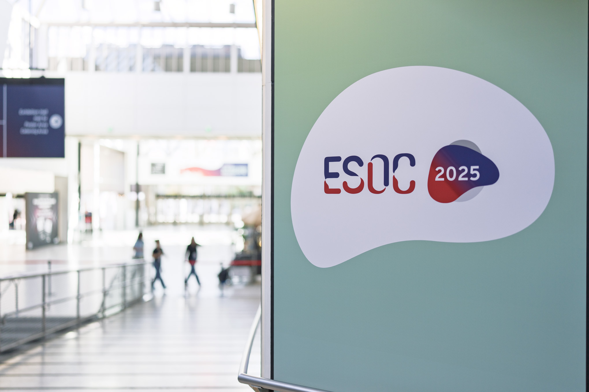 Session Report - Stroke Imaging 2025