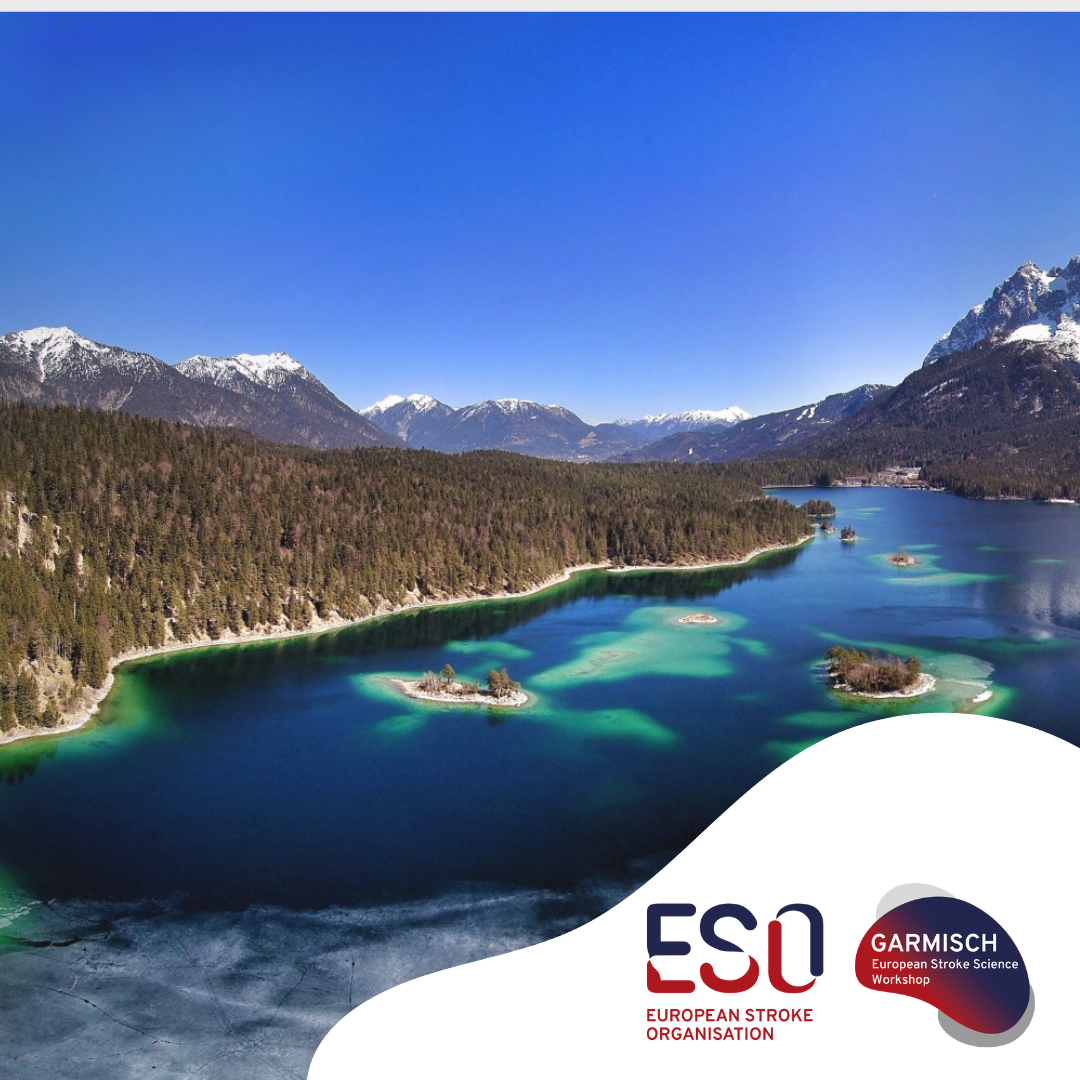 ESSW - Session 1 - A Delicate Balance - European Stroke Organisation