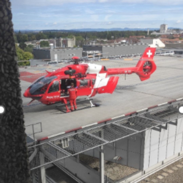 Reperfusing Large Core Stroke - European Stroke Organisation