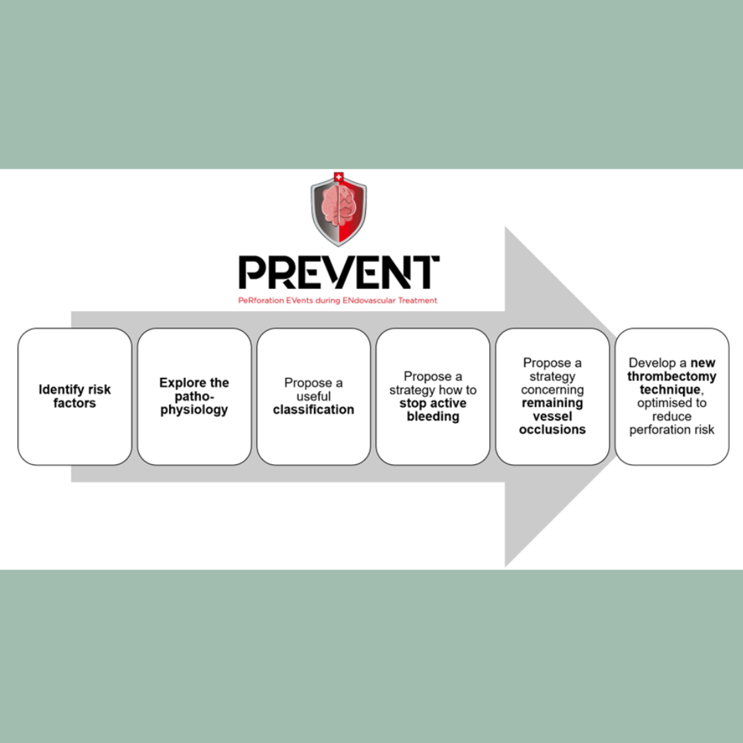 Intracranial Vessel Perforation during Thrombectomy: Prevalence ...