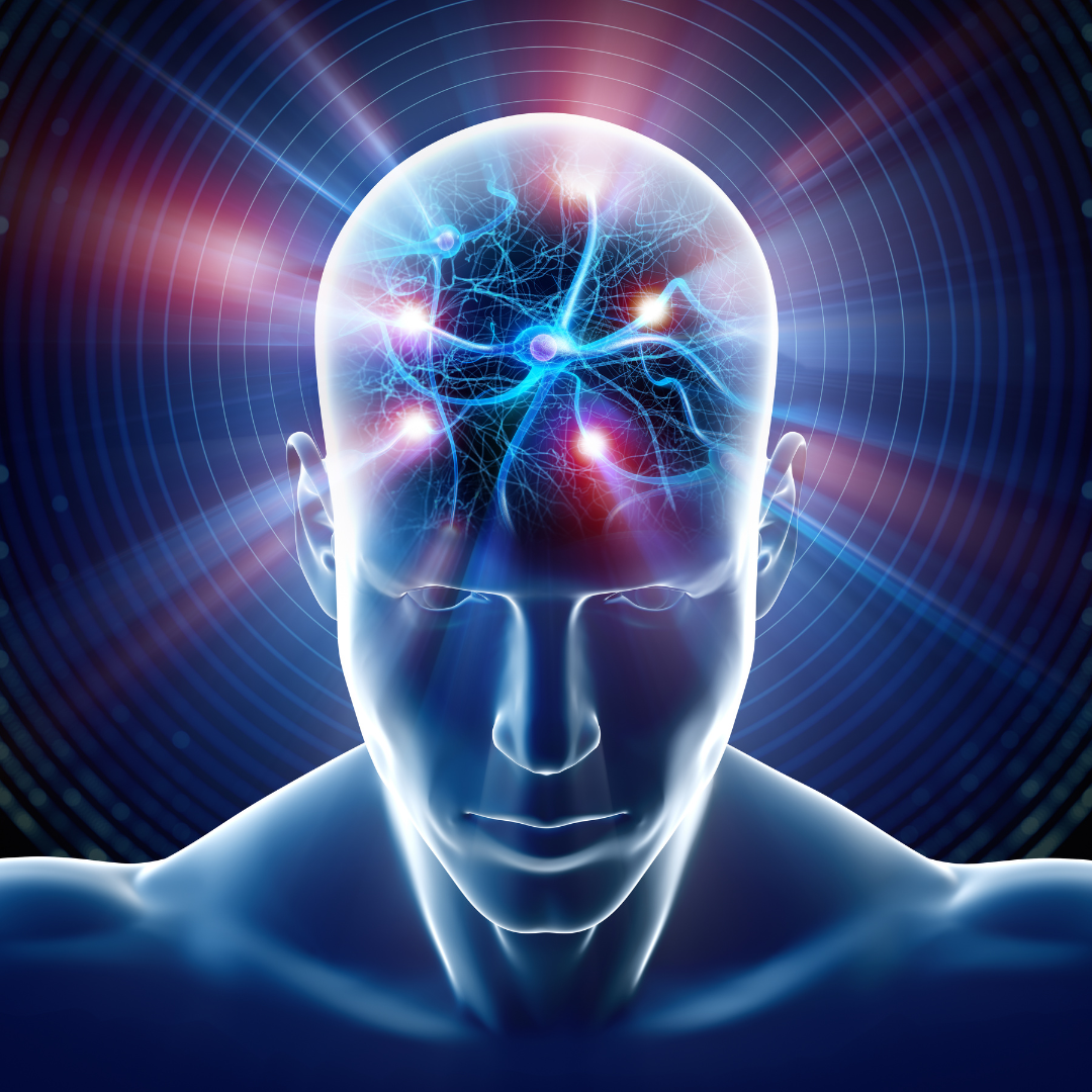Home- European Stroke Organisation