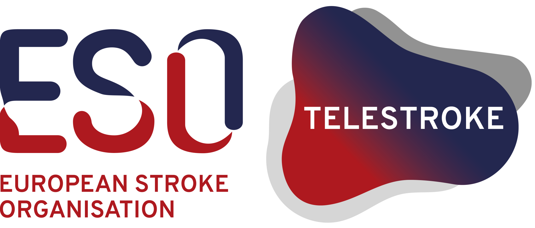 European Telestroke Networks - European Stroke Organisation