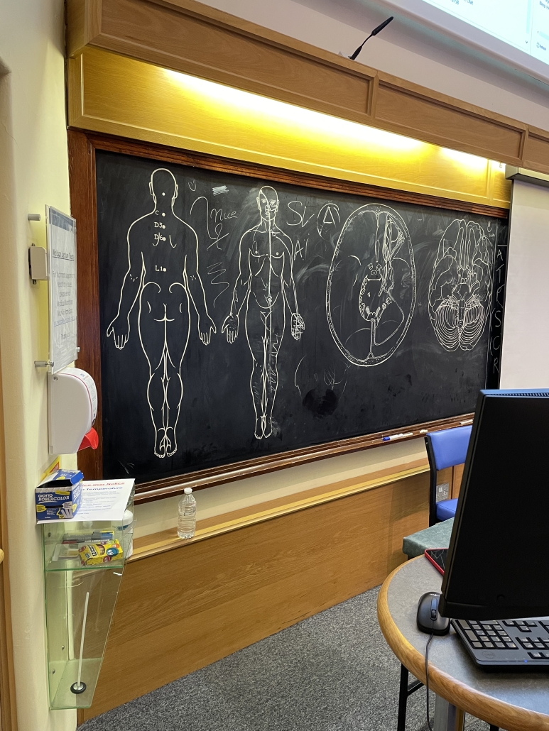 D2D Visit Report – Solomiia Bandrivska - European Stroke Organisation