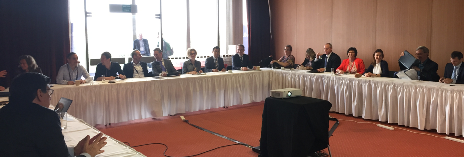 ESO Committee Corner - Health Economics Working Group - European Stroke ...